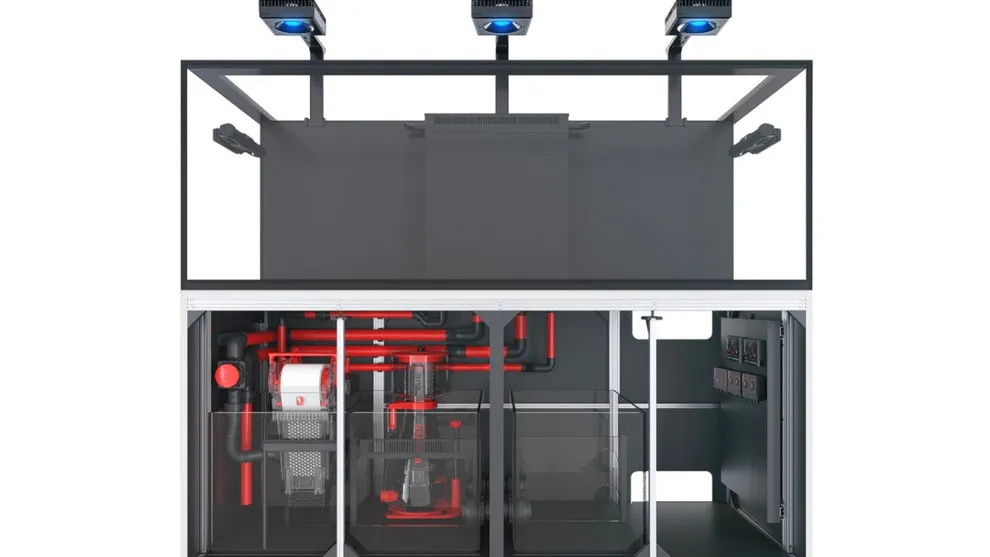 【2025年】レッドシー REEFERの特徴を徹底解説! リーファーの魅力と人気の理由