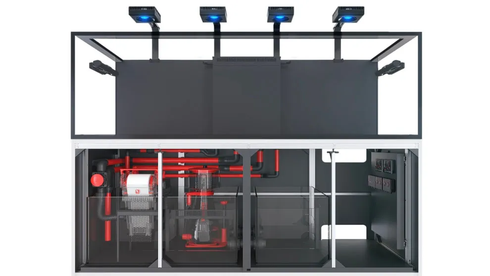 【2025年】レッドシー REEFERの特徴を徹底解説! リーファーの魅力と人気の理由